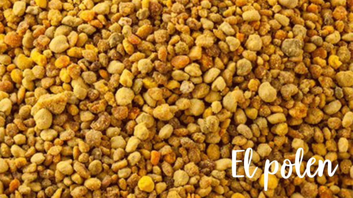 Polen: El único alimento que contiene los 22 aminoácidos esenciales ...